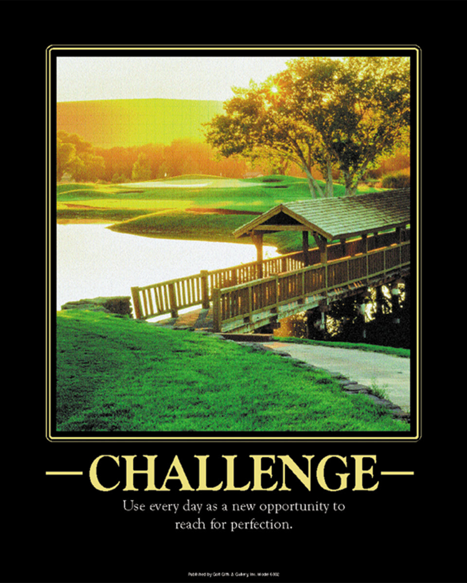 Challenge Motivational Poster – Sports Art Inc